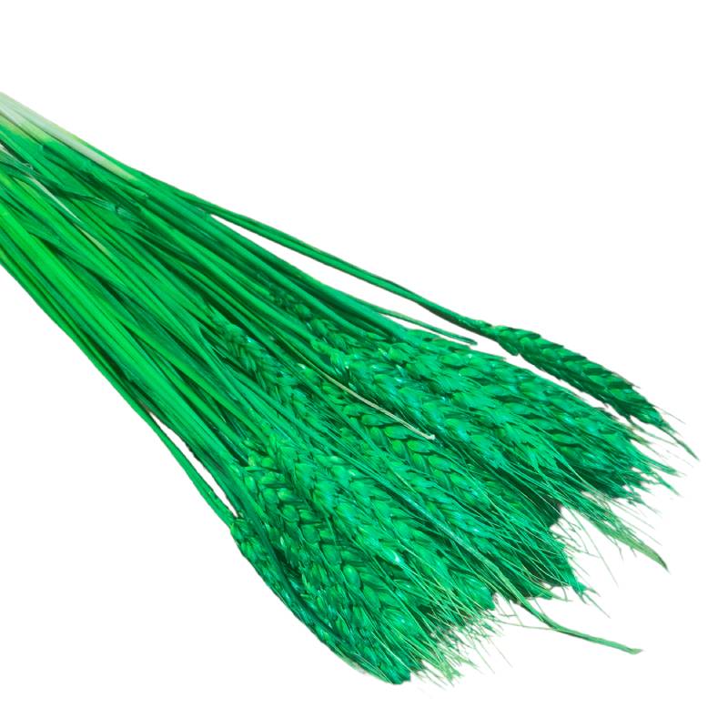 Grâu -verde smarald • Ambalaje & Accesorii Florale